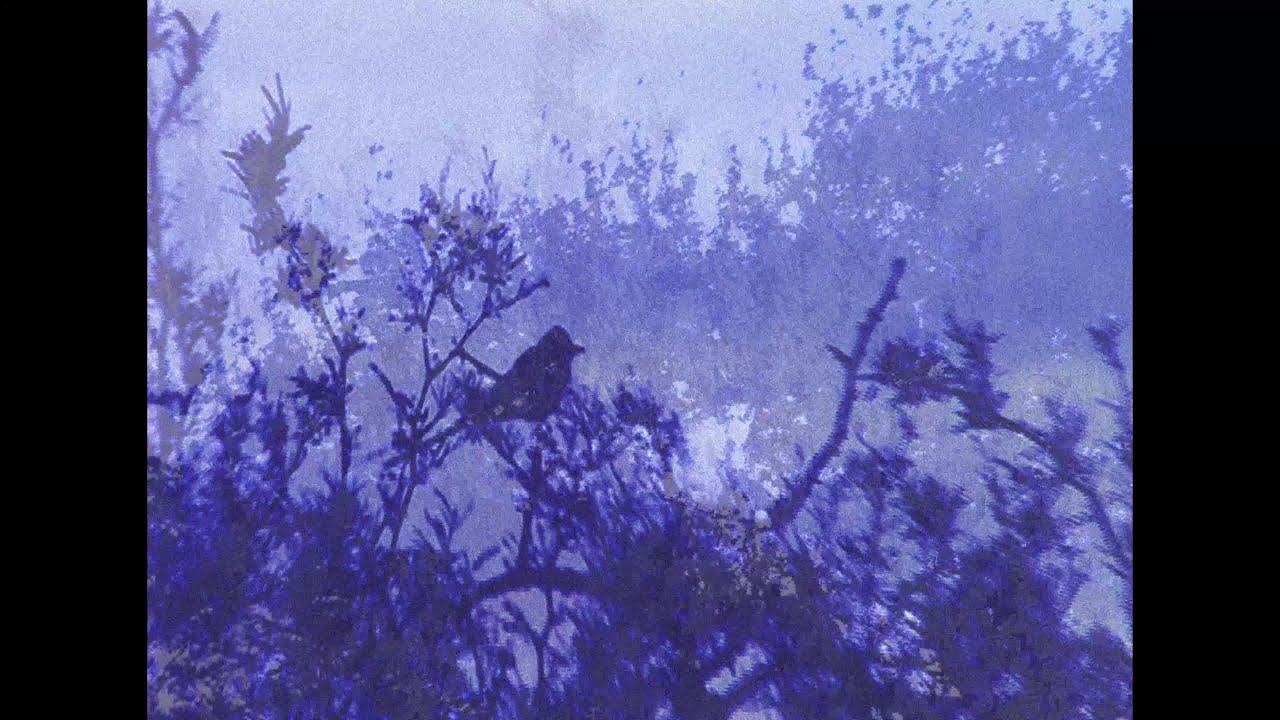 rvrls - jardín de memorias - I (videoclip) - YouTube