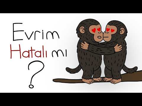 Why Does Homosexuality Exist in Nature?