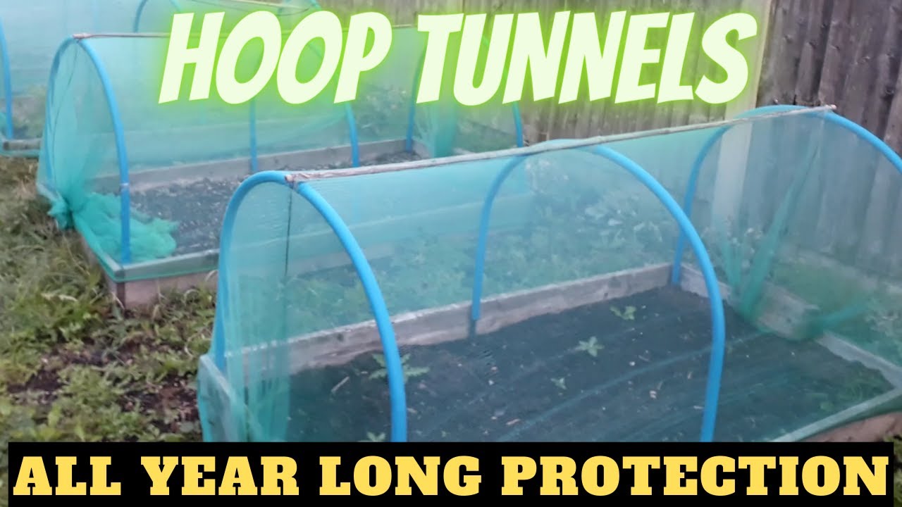 Build A Hoop Tunnel [Gardening Allotment UK] [Grow Vegetables At Home ...