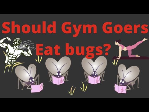 Are Insects A Complete Protein