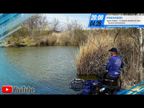 Sipos Gábor - A classic feeder 8. rész – Tavaszi kárászozás filmajánló ...