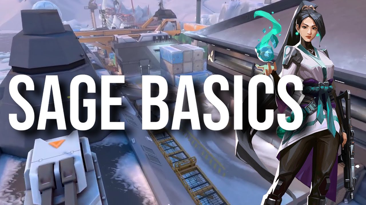 Sage Icebox Guide | Beginners Guide - YouTube