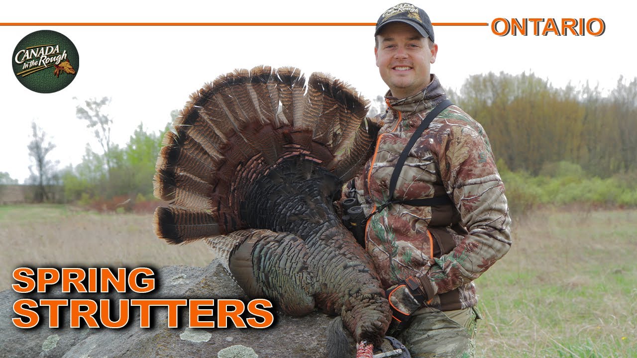 Bow Hunting for Spring Gobblers in Ontario | Canada in the Rough - YouTube