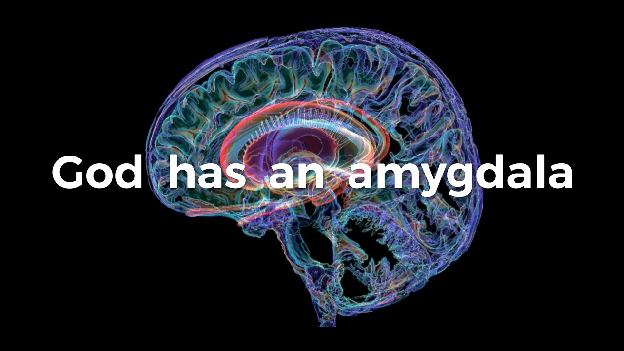 God has an amygdala - YouTube