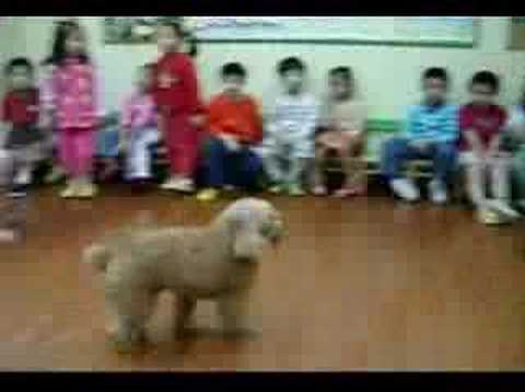 Rabbit Class Pt. 1 - YouTube