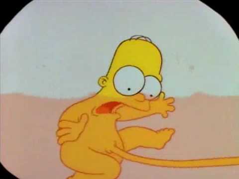 Homer en el útero.wmv - YouTube