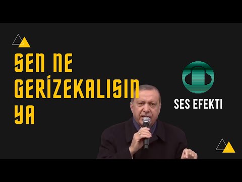 Sen Ne Gerizekalısın Ses Efekti (RTE)