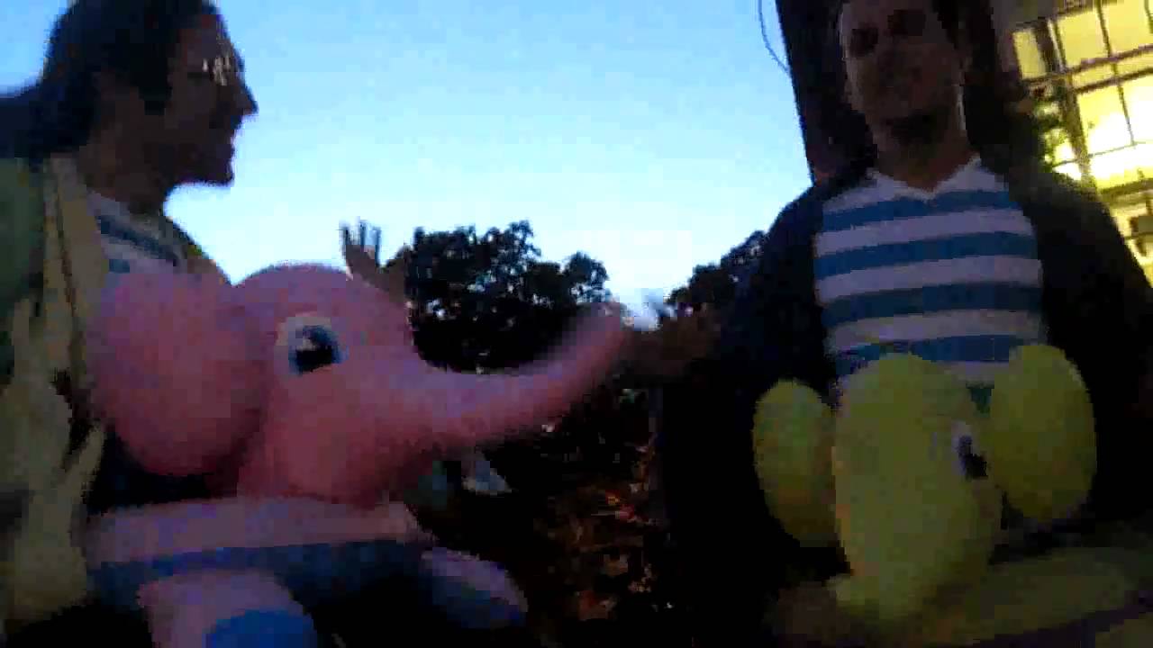 all the single ladies, exeter!!2010 - YouTube