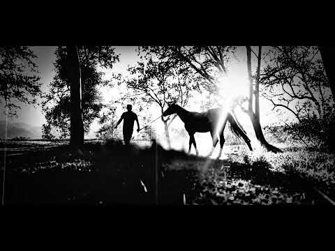 Orada Sen, Burada Mən. Azerbaycan Türkiye. Alpay | Alpay's Music 