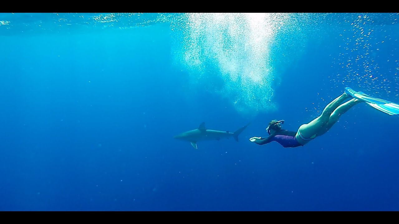 Close Call with Shark - YouTube