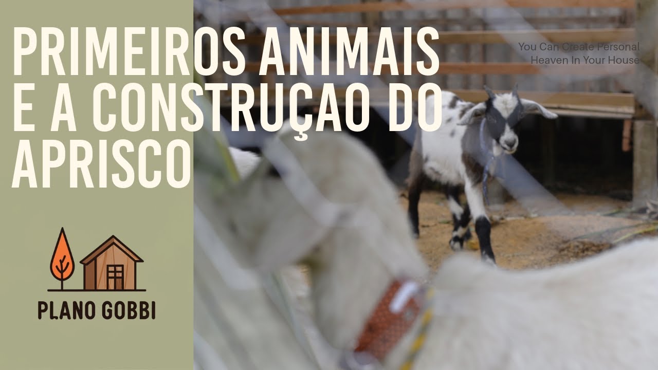 PLANO GOBBI - Construção do Aprisco e primeiros animais na montanha ...