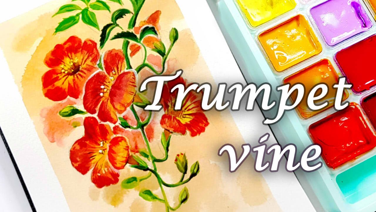 Painting Trumpet Vine/ Let's paint / (SUB) #180 - YouTube