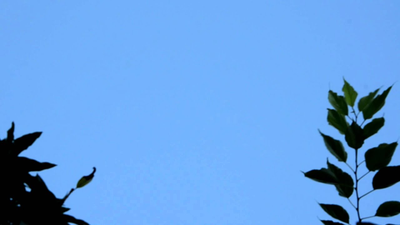 Daytime Iridium Flare, 2012-07-18 17:15:54 - YouTube