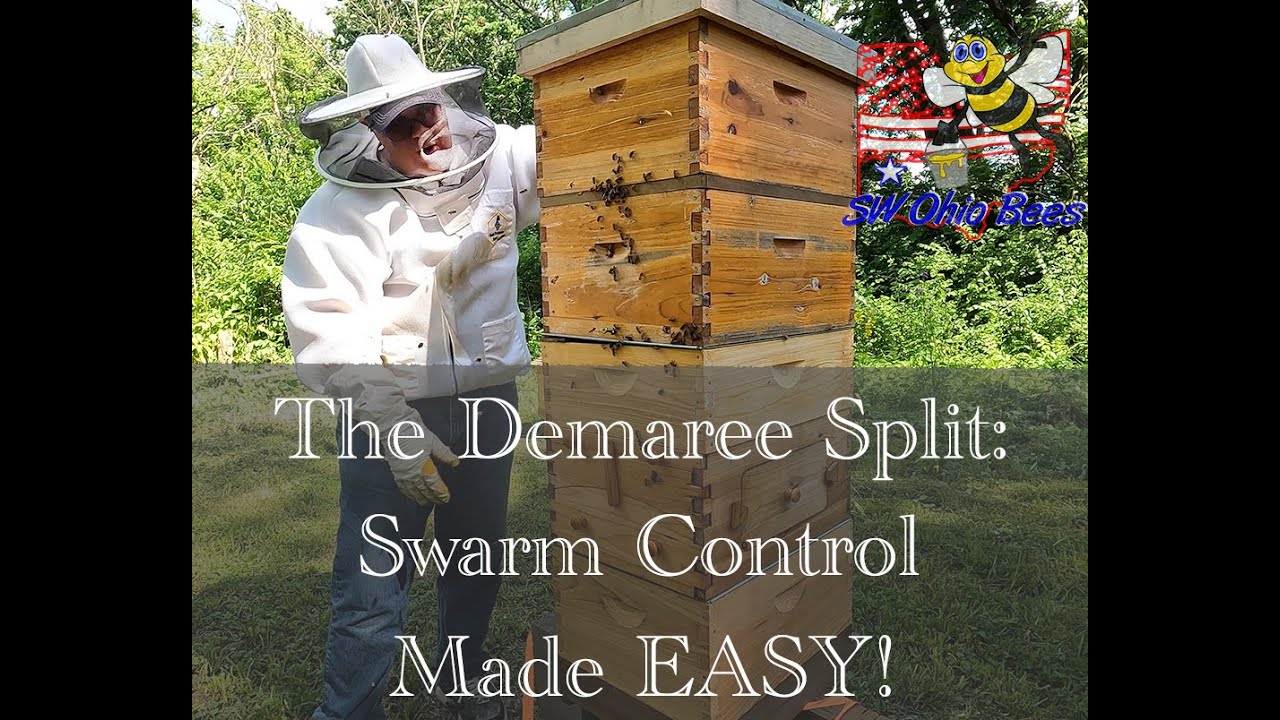 The Demaree Split: Swarm Control Made Easy! - YouTube
