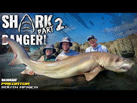 Döme Gábor - KÖPEKBALIĞI TEHLİKESİ! Suya girmeyin! Afrika’da dehşet verici köpekbalığı avı 2. bölüm