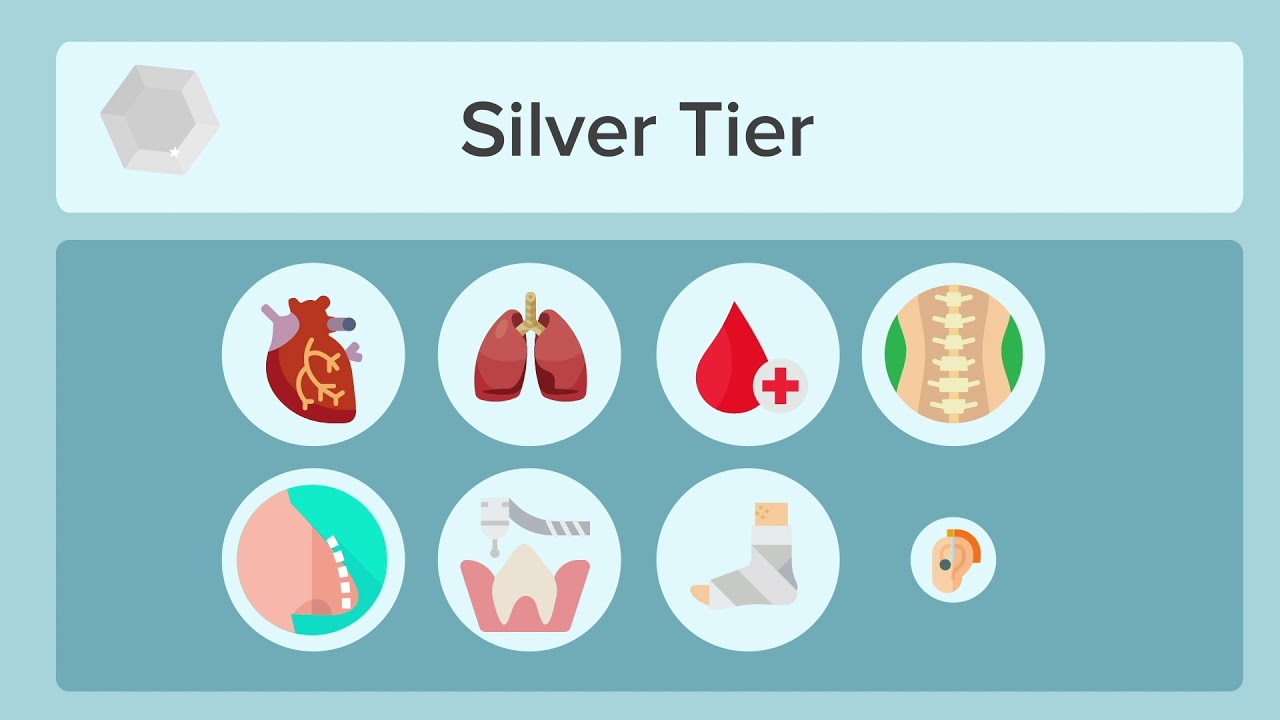 Health Insurance Product Tiers: Silver Category - YouTube
