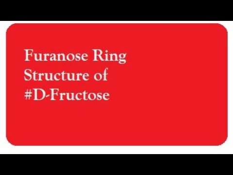 Furanose structure of Fructose | BSc 3rd year | Carbohydrates - YouTube