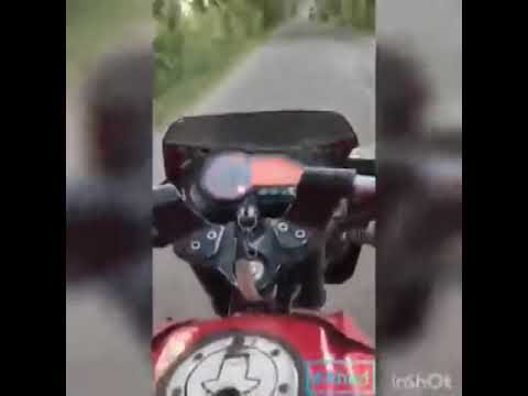 Beauty Brain   Traga