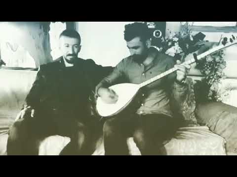 Rengîn 2019 mir perver