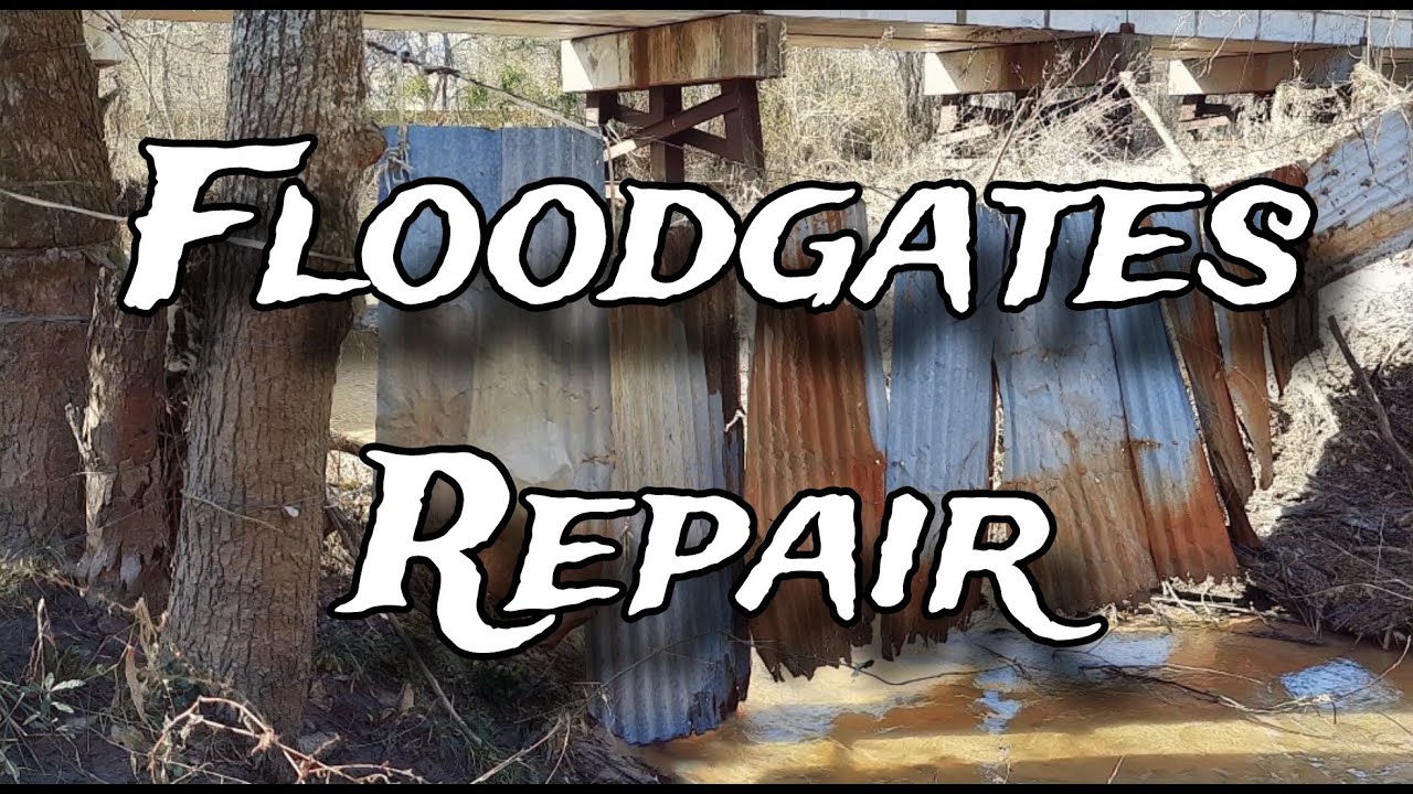 Cows Getting Out - Floodgate Repair - YouTube