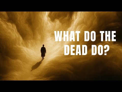 What a Soul Actually Does After the Body Dies | What Souls Do All Day ...