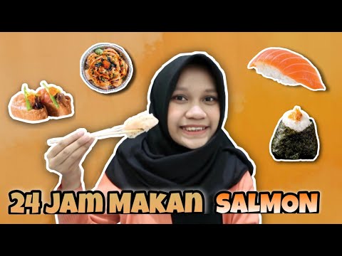 24 Jam makan SALMON!!