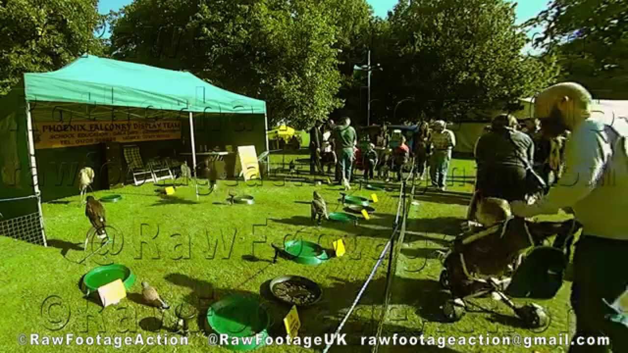 Rotherham Show 2015 Phoenix Falconry Display Team - YouTube