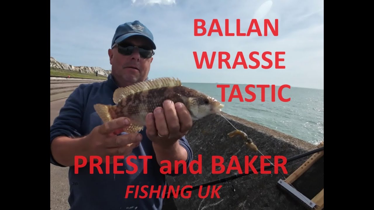 SEA FISHING UK DOVER BASS WRASSE - YouTube