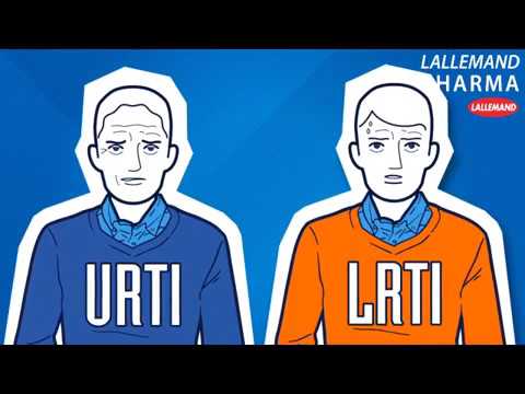 URTI and LRTI - YouTube