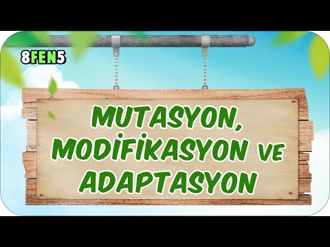 Mutasyon, Modifikasyon ve Adaptasyon 📗 8. Sınıf Fen #2024LGS