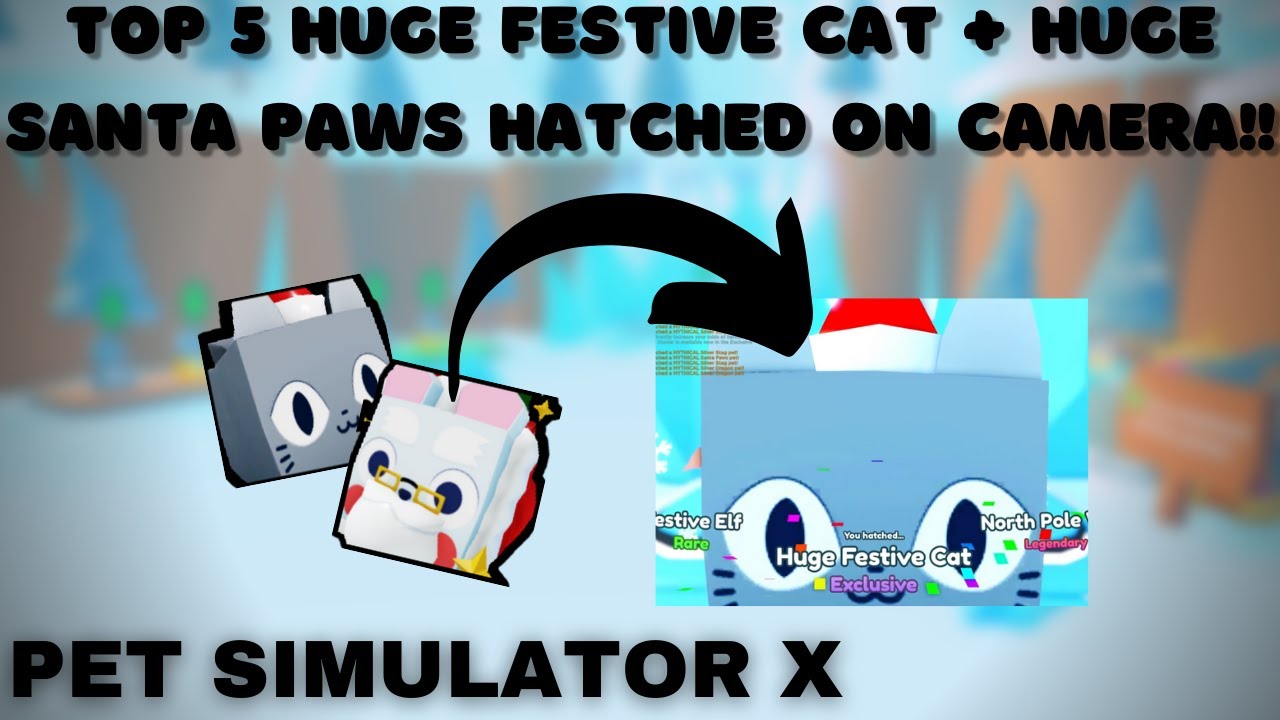 📷TOP 5 HUGE FESTIVE CAT + HUGE SANTA PAWS HATCHED ON CAMERA!! | Pet ...