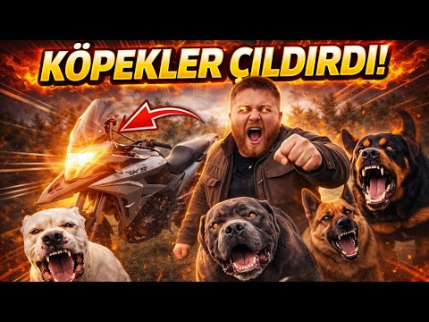 YENİ EFSANE MOTOR DAĞ CANAVARI KÖPEKLER GÖRÜNCE ÇILDIRDI! 