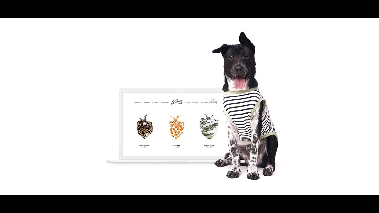 The Paws Website Design - YouTube