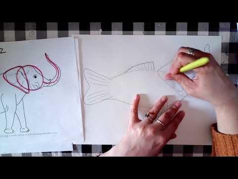 Drawing Your Own Hybrid Animal - YouTube