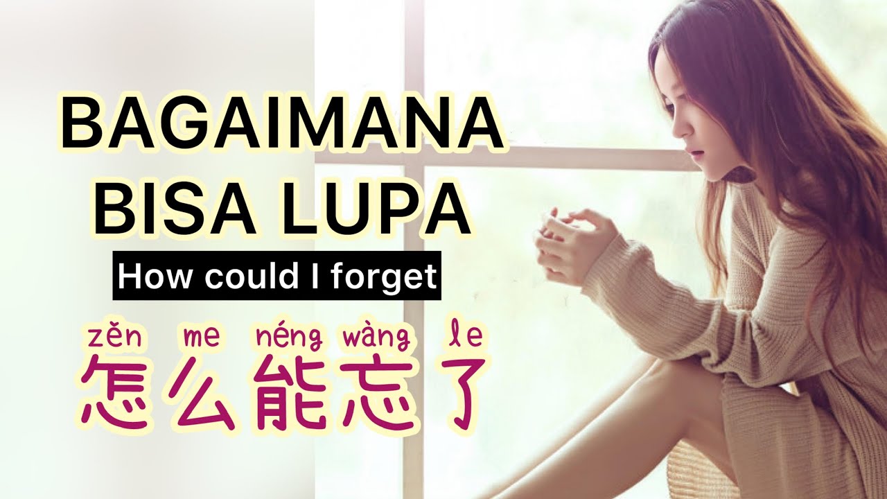 怎么能忘了- Zen Me Neng Wang Le - 程响 - Bagaimana Bisa Lupa - How Could I Forget - Chinese Song Pinyin ...