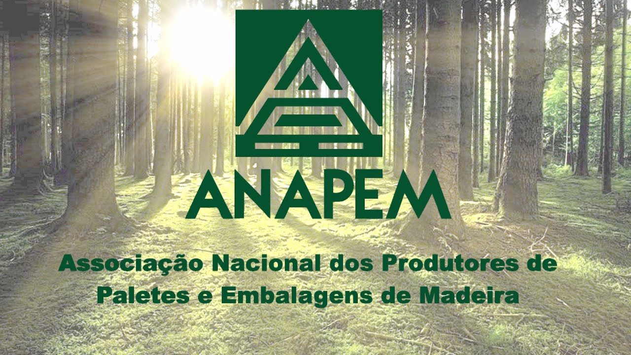 ANAPEM - Associação Nacional dos Produtores de Paletes e Embalagens de ...