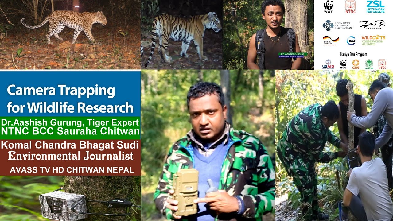 Camera Trapping for Wildlife Research - YouTube