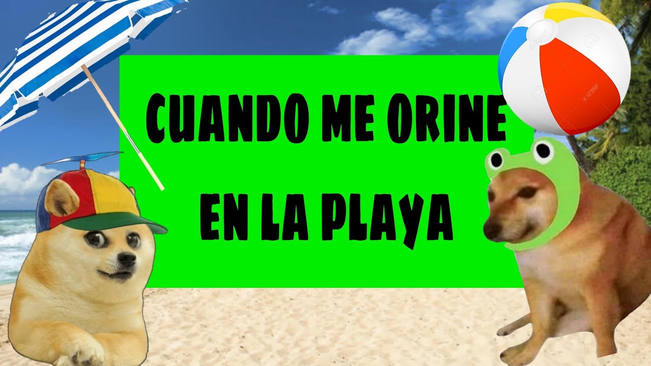 ABRO HILO - CUANDO ME ORINE EN LA PLAYA /cheems / la rosa de cheemes ...