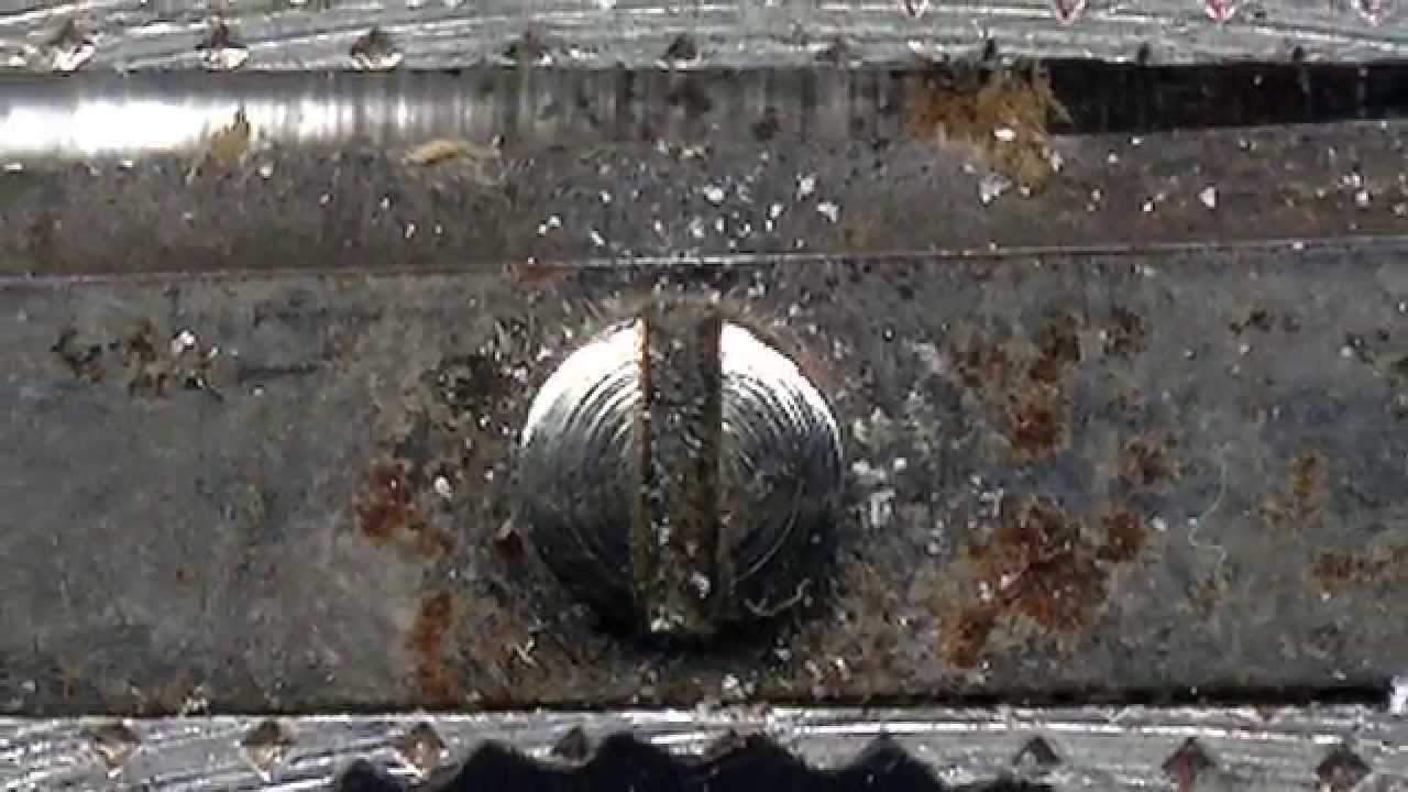 Amateur Microscopy with a flatbed scanner (Agfa SnapScan 1236S) - YouTube