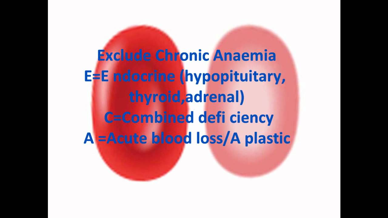 Hematology Mnemonics -part 1 - YouTube