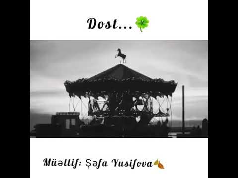 Şəfa Yusifova_\