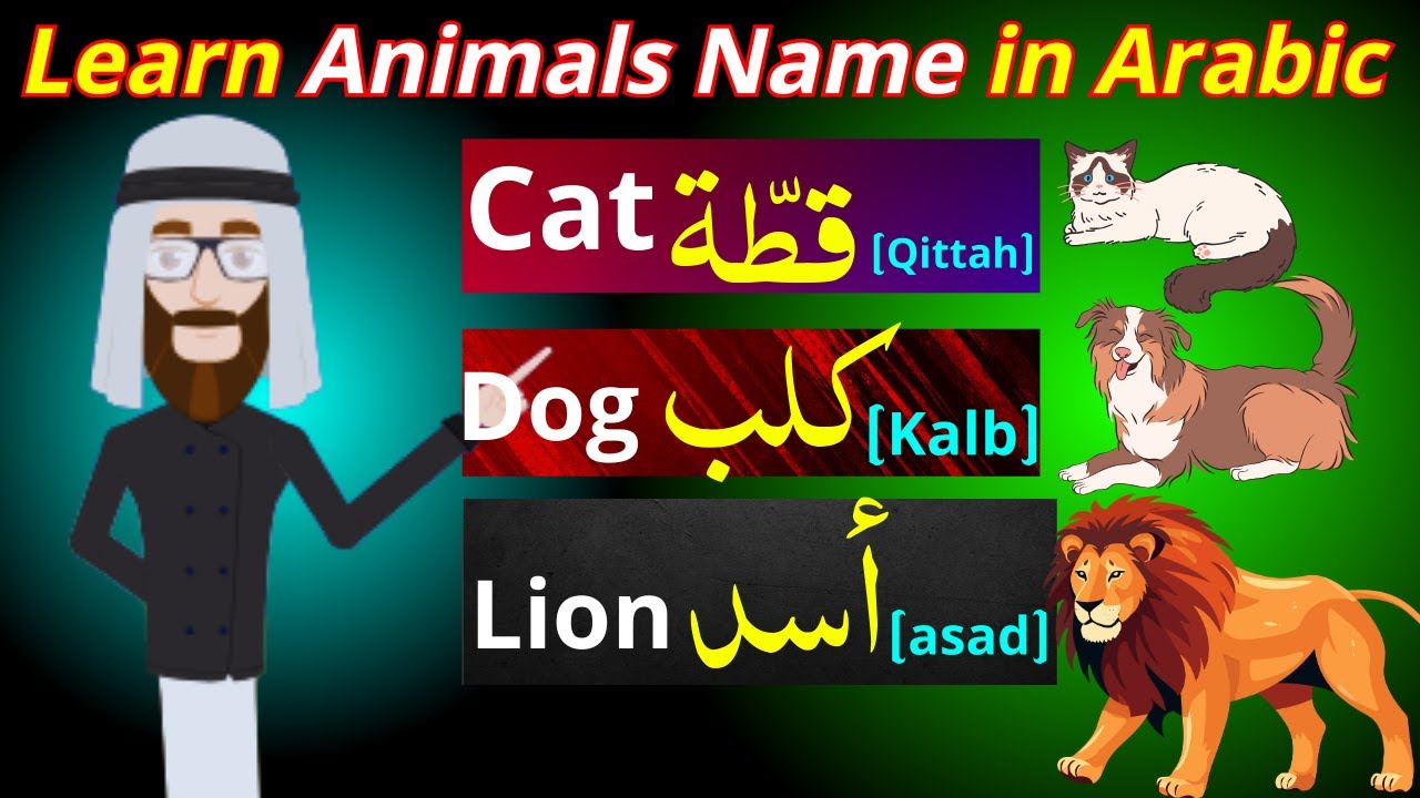 Learn Animal Names in Arabic & English for Kids – Fun Animated Animals ...