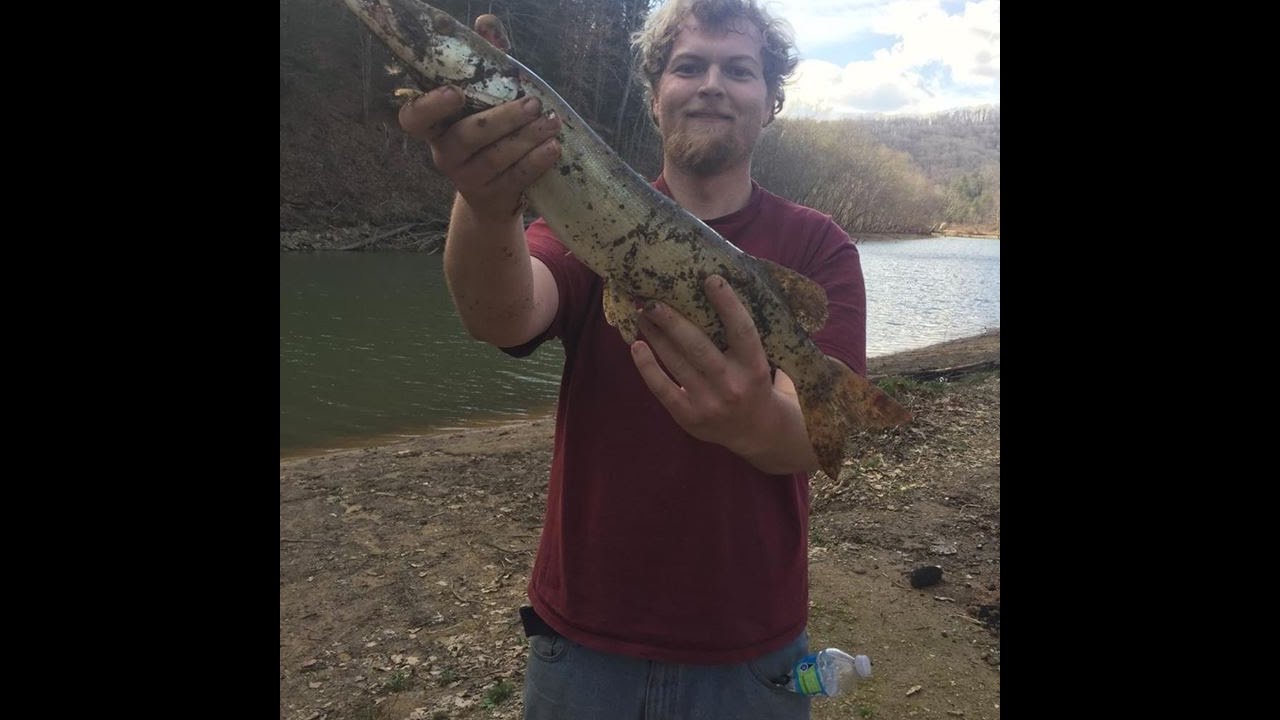 Muskie Fishing Cave Run Lake: First Muskie of The Year - YouTube