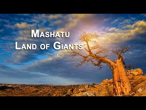 Mashatu: Land of Giants in the Heart of Botswana’s Wilderness - YouTube