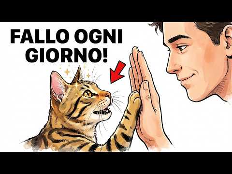 Fai queste 7 cose ogni giorno e il tuo gatto capirà che lo ami