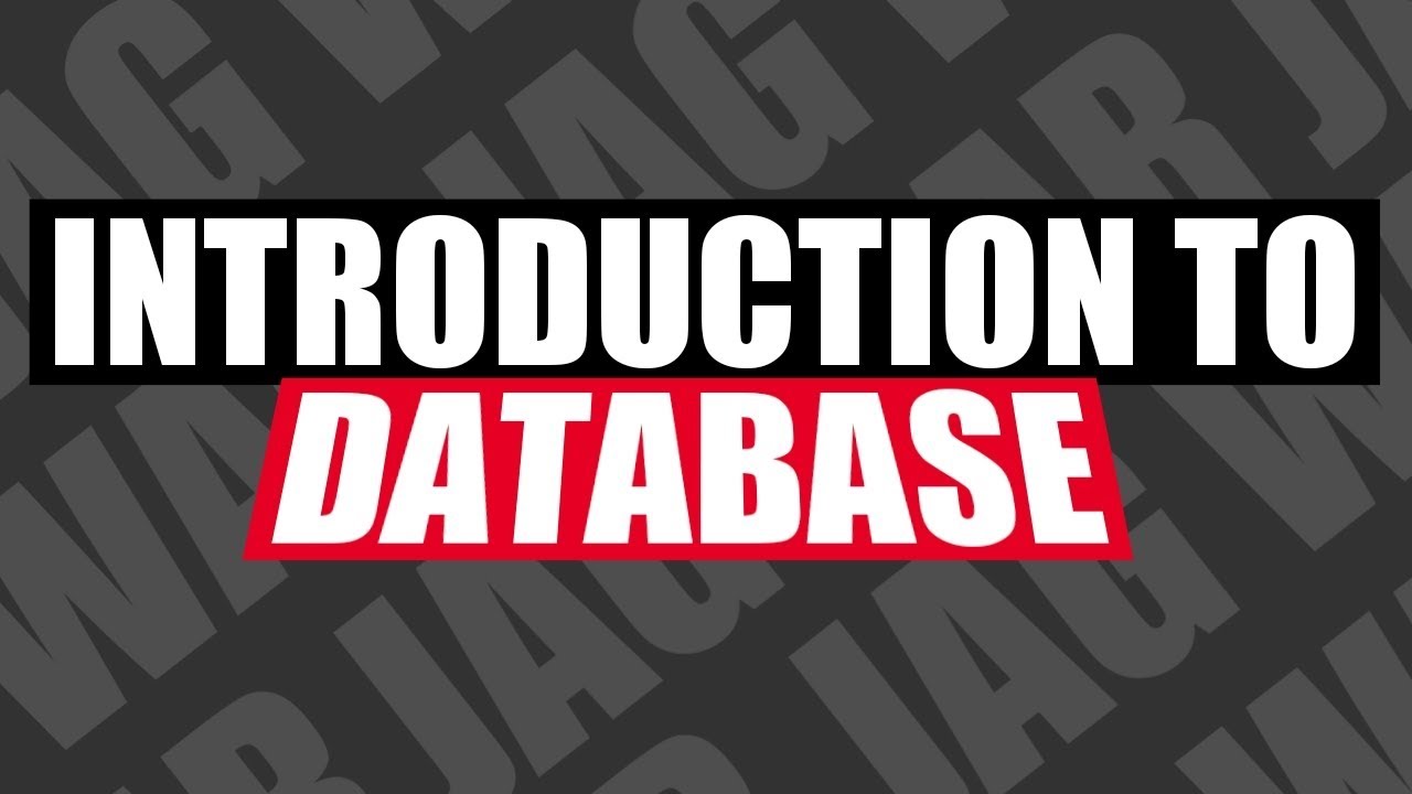 Programming Tutorial - "Database" Introduction - YouTube
