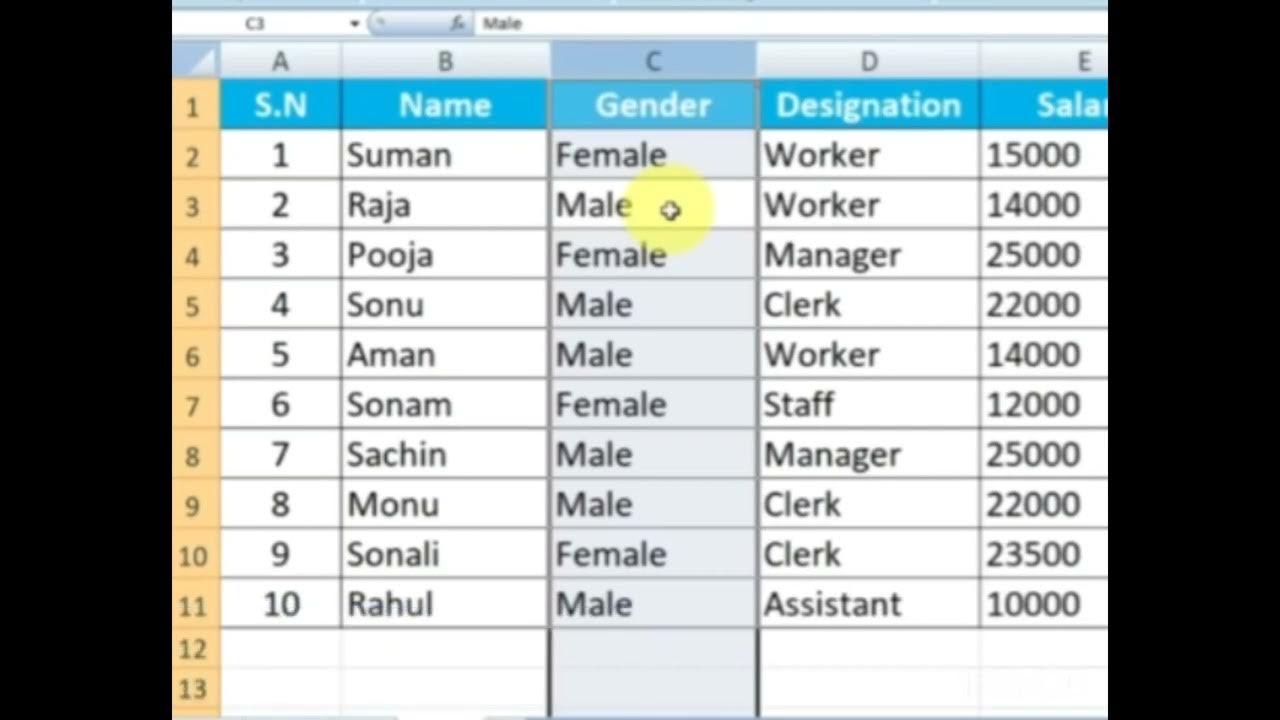 How to use MS Excel function in computer? ankitsirinspireindia sir - YouTube