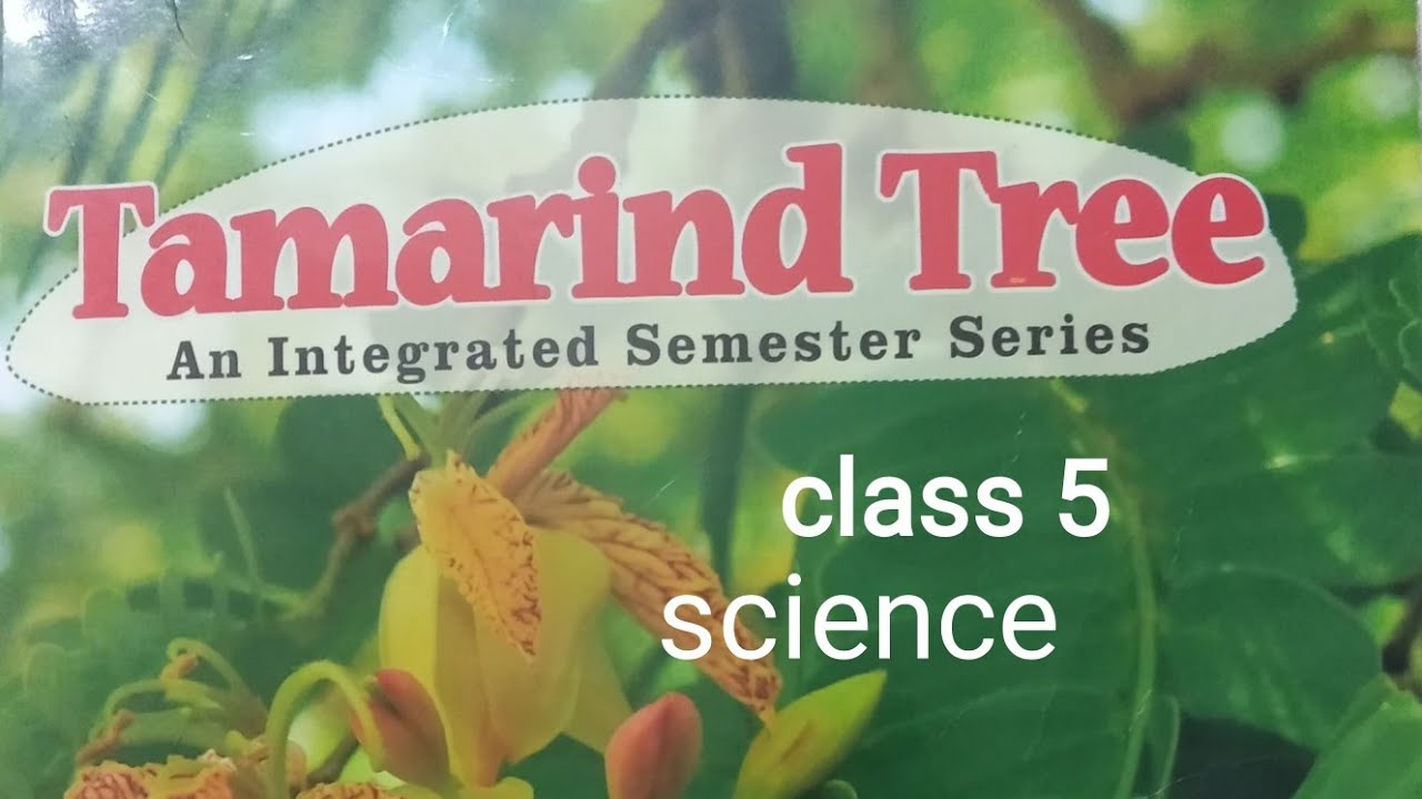 class 5th science Sun Moon and the Earth ch--- 6 Part 1" chapter ...