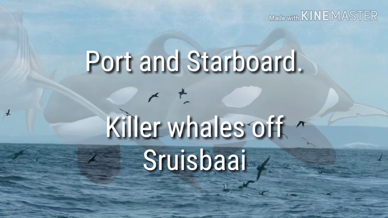 Port and Starboard - YouTube