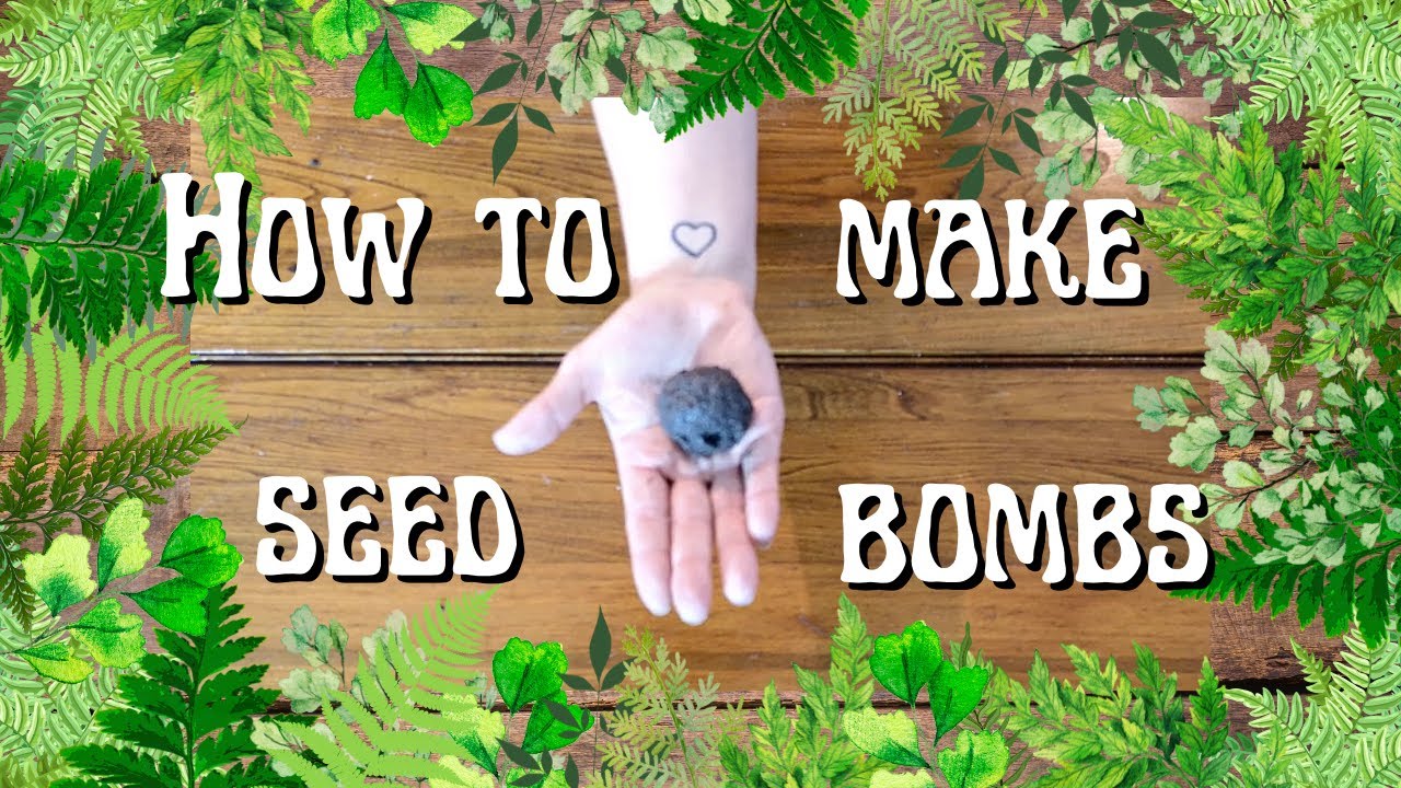 How to Make Seed Bombs - YouTube